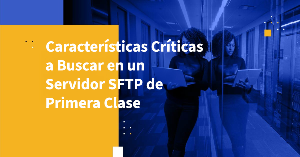 SFTP: ¿Qué es un servidor SFTP, transferencia SFTP, transferencia ...
